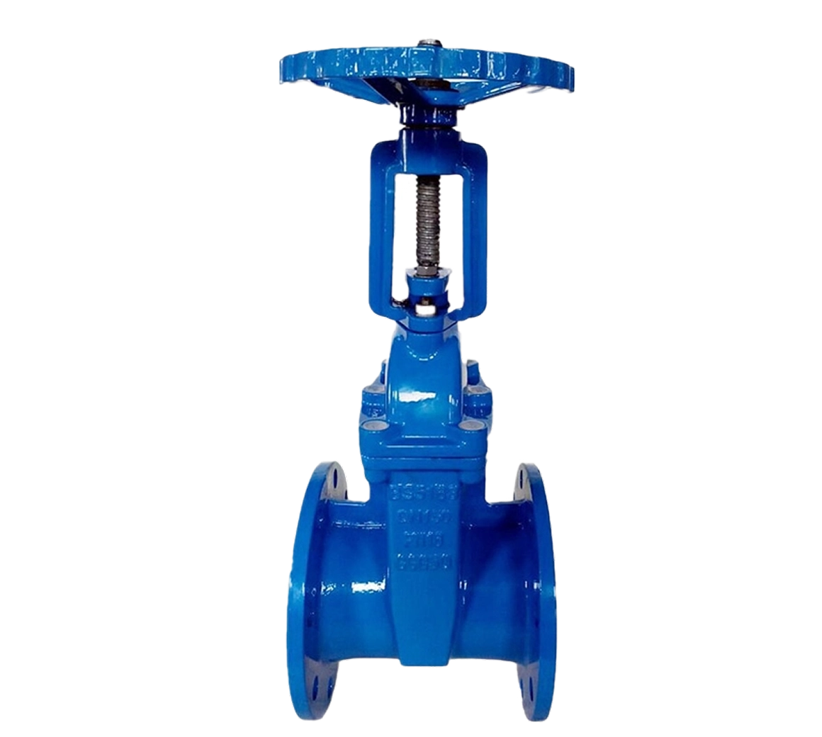 Rising Stem Gate Valve - IPC - Indo Pasific Corp