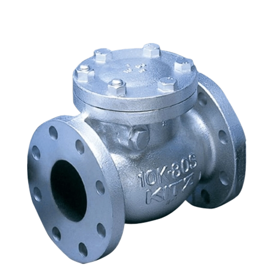 Kitz Cast Iron Check Valve - IPC - Indo Pasific Corp