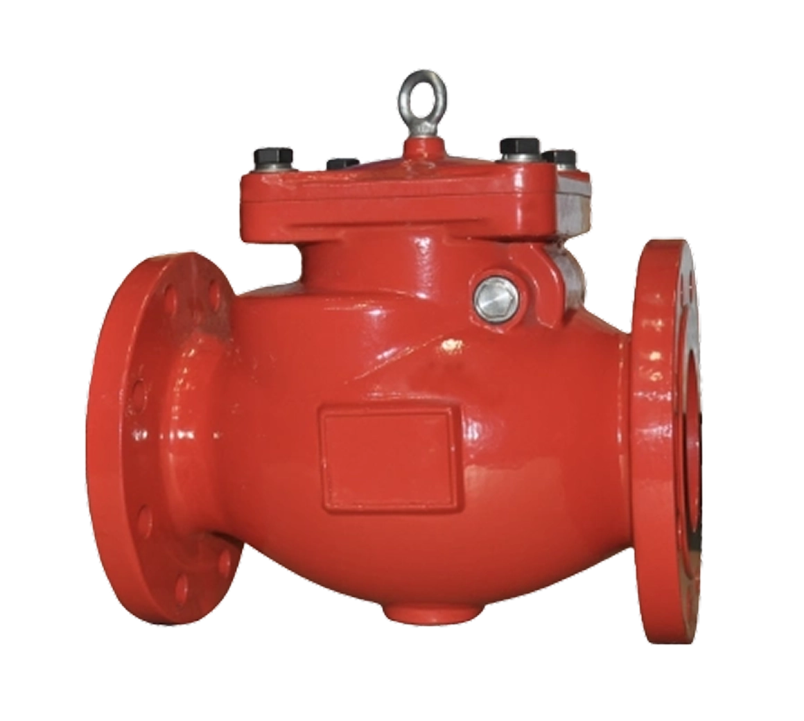 Gala 55ff Flange Type Swing Check Valve - IPC - Indo Pasific Corp